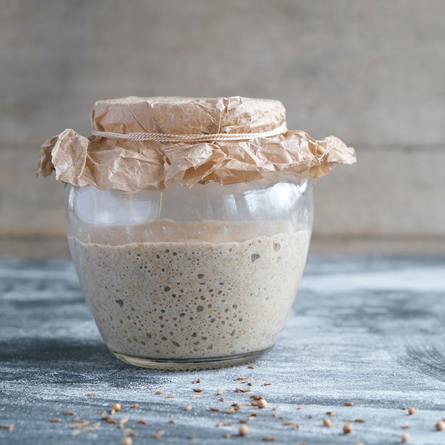 Økologisk kernerugbrød - Opskrift af ”AMBASSADORS FOR BREAD”